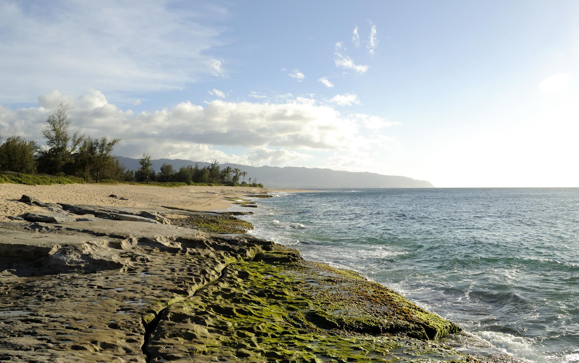 Những điều Thú Vị Về Bãi Biển Papailoa | Travel Aloha Hawaii
